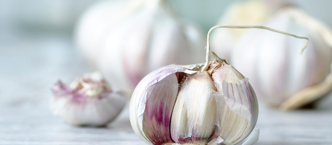 How Aged Garlic Extract can help your immune system out this winter ...