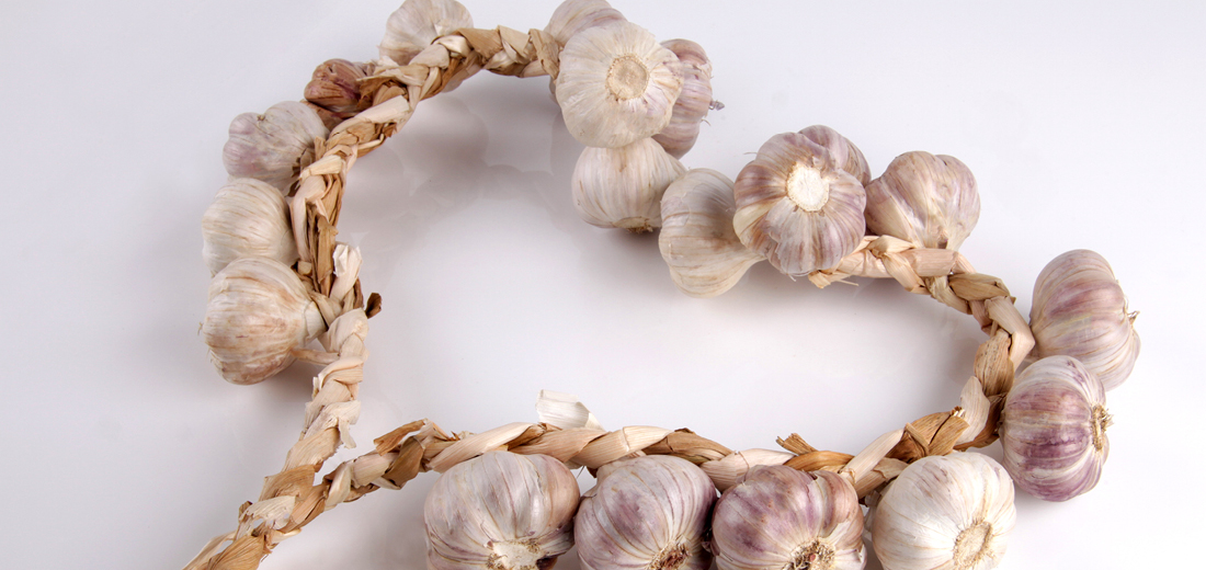 Garlic Reverses Heart Disease: UCLA Study | Nutra-Life New Zealand