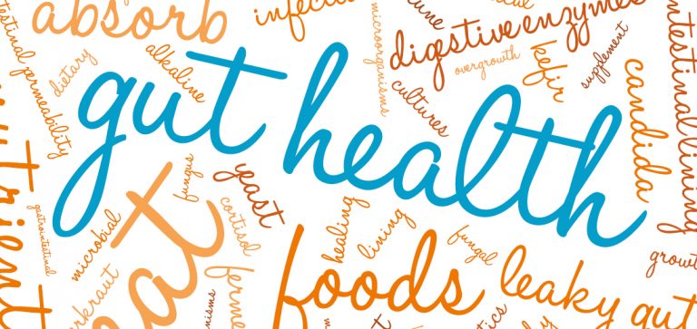 How to look after your Gut Health - The Basics | Nutra-Life New Zealand